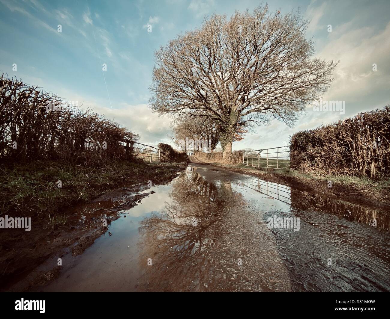 Dilwyn High Resolution Stock Photography and Images - Alamy