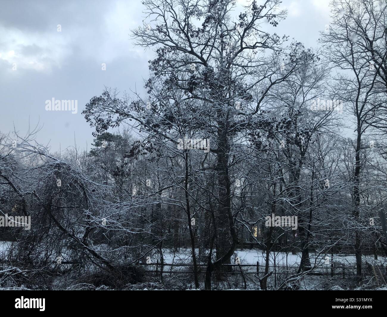 Grey cold morning hi-res stock photography and images - Alamy