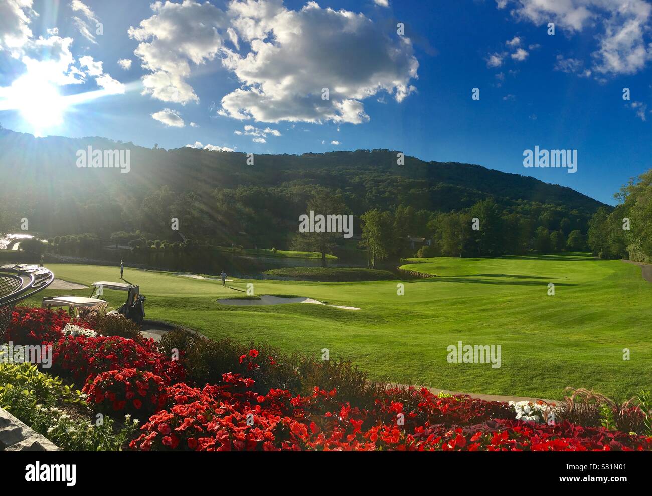 Golf and nature hi-res stock photography and images - Alamy