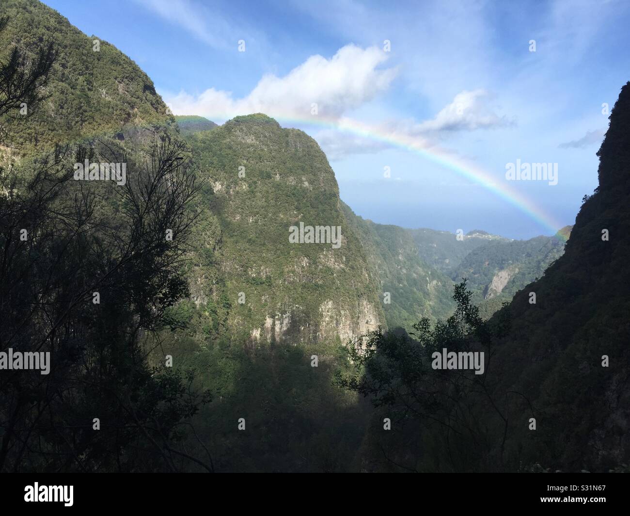 Madeira in December Stock Photo - Alamy