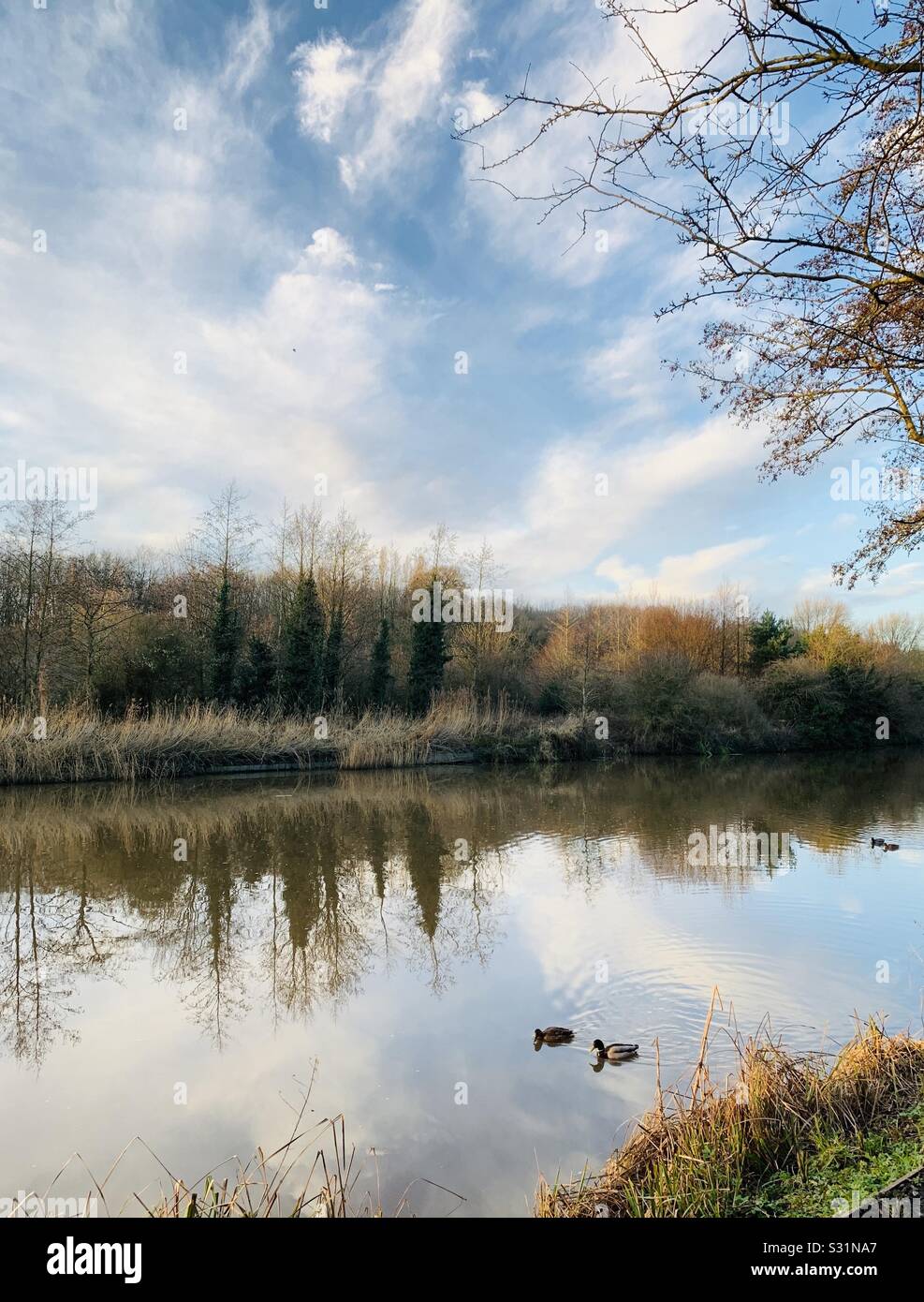 Tranquil river view hi-res stock photography and images - Alamy