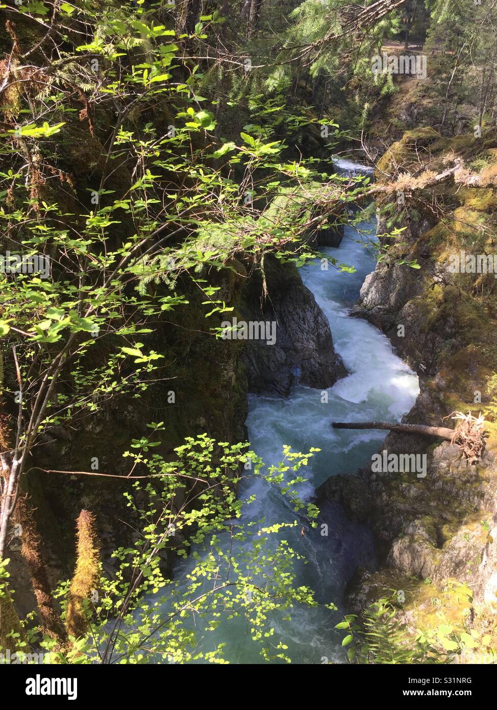 Qualicum bc hi-res stock photography and images - Alamy