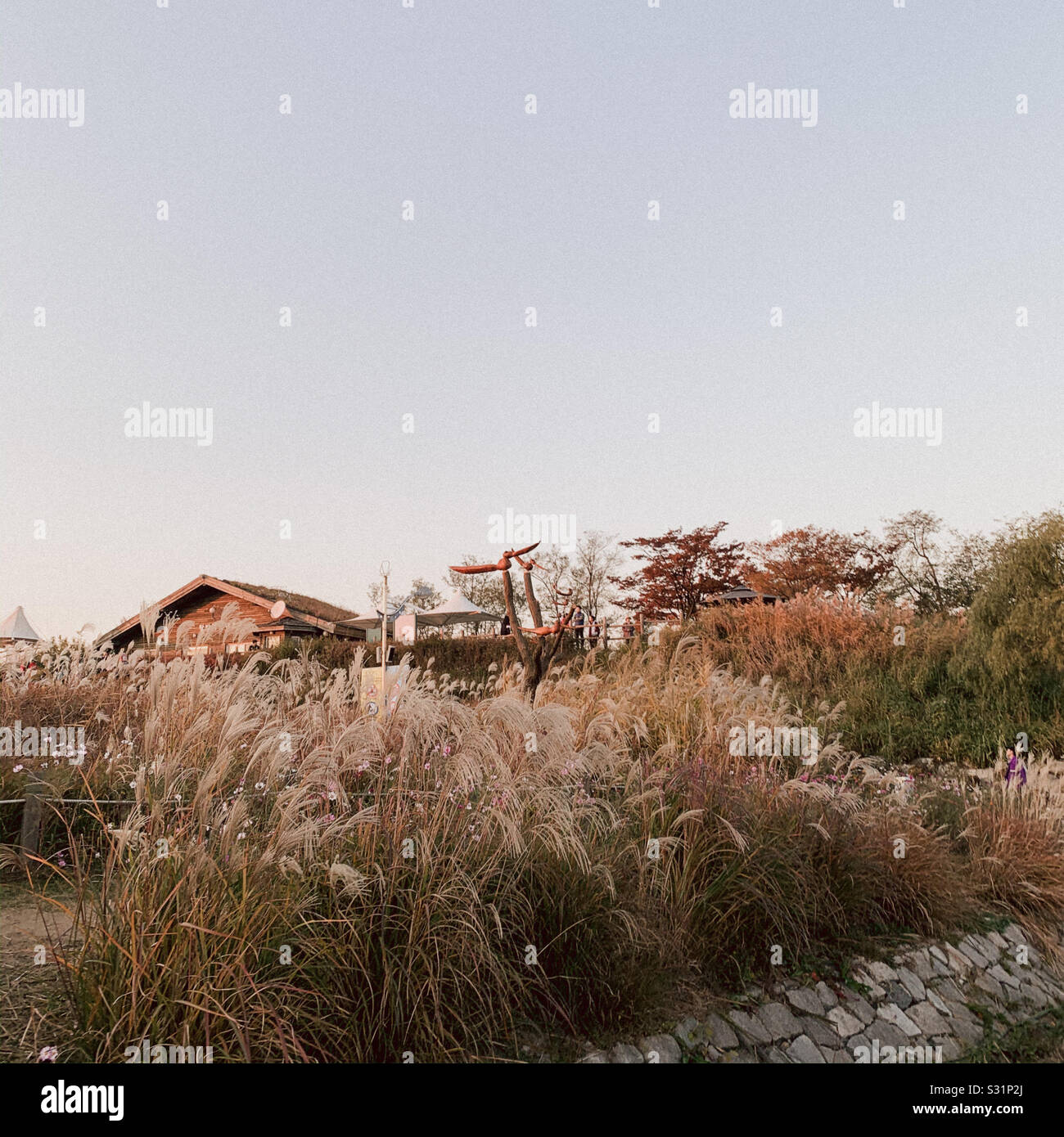 Seoul, korea haneul park hi-res stock photography and images - Alamy