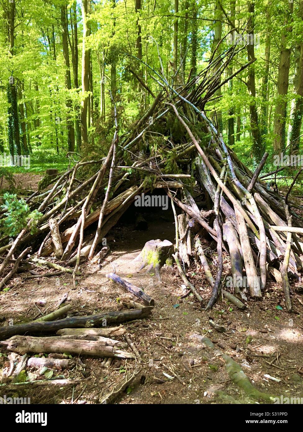 Tipi in forest hi-res stock photography and images - Alamy
