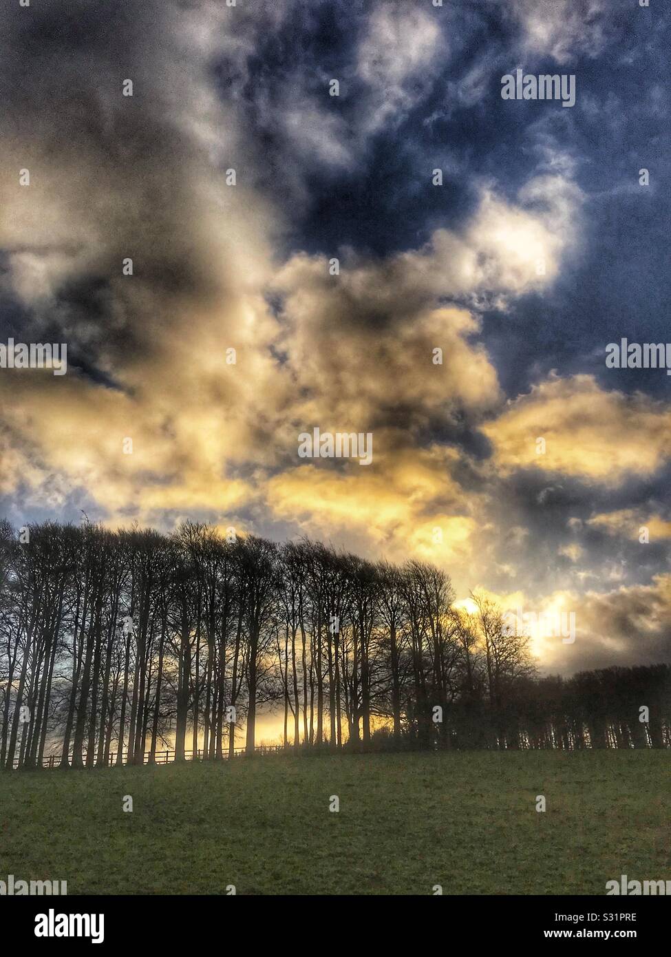 Dramatic sky with trees Stock Photo - Alamy