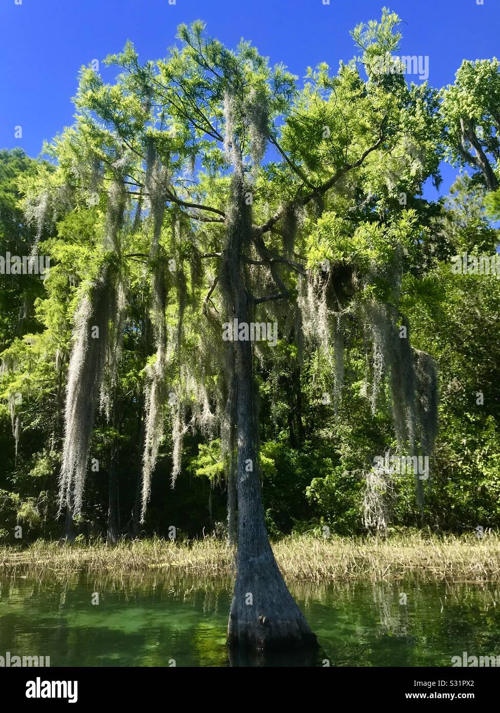 Tree and rainbow hi-res stock photography and images - Alamy