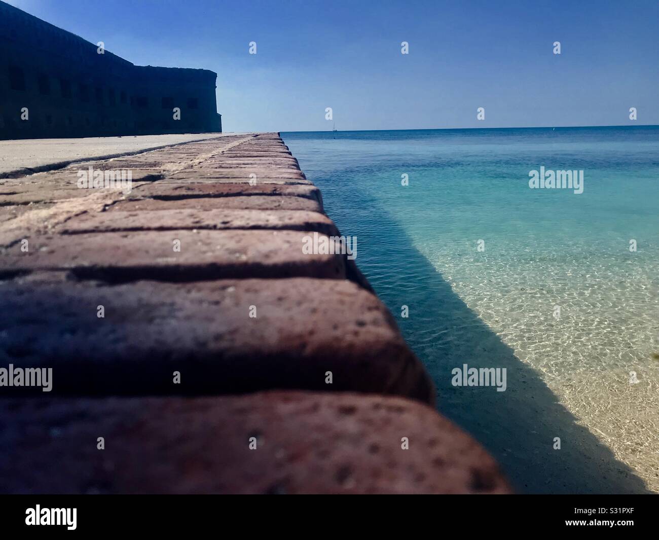Tortuga beach hi-res stock photography and images - Alamy
