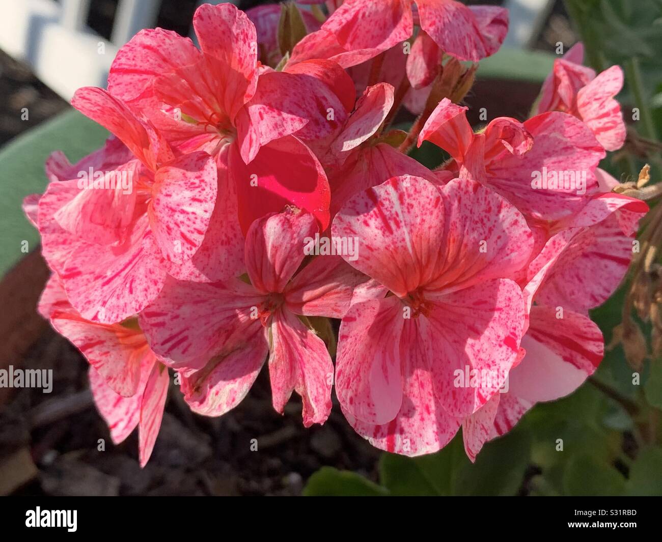 Best patterns hi-res stock photography and images - Alamy