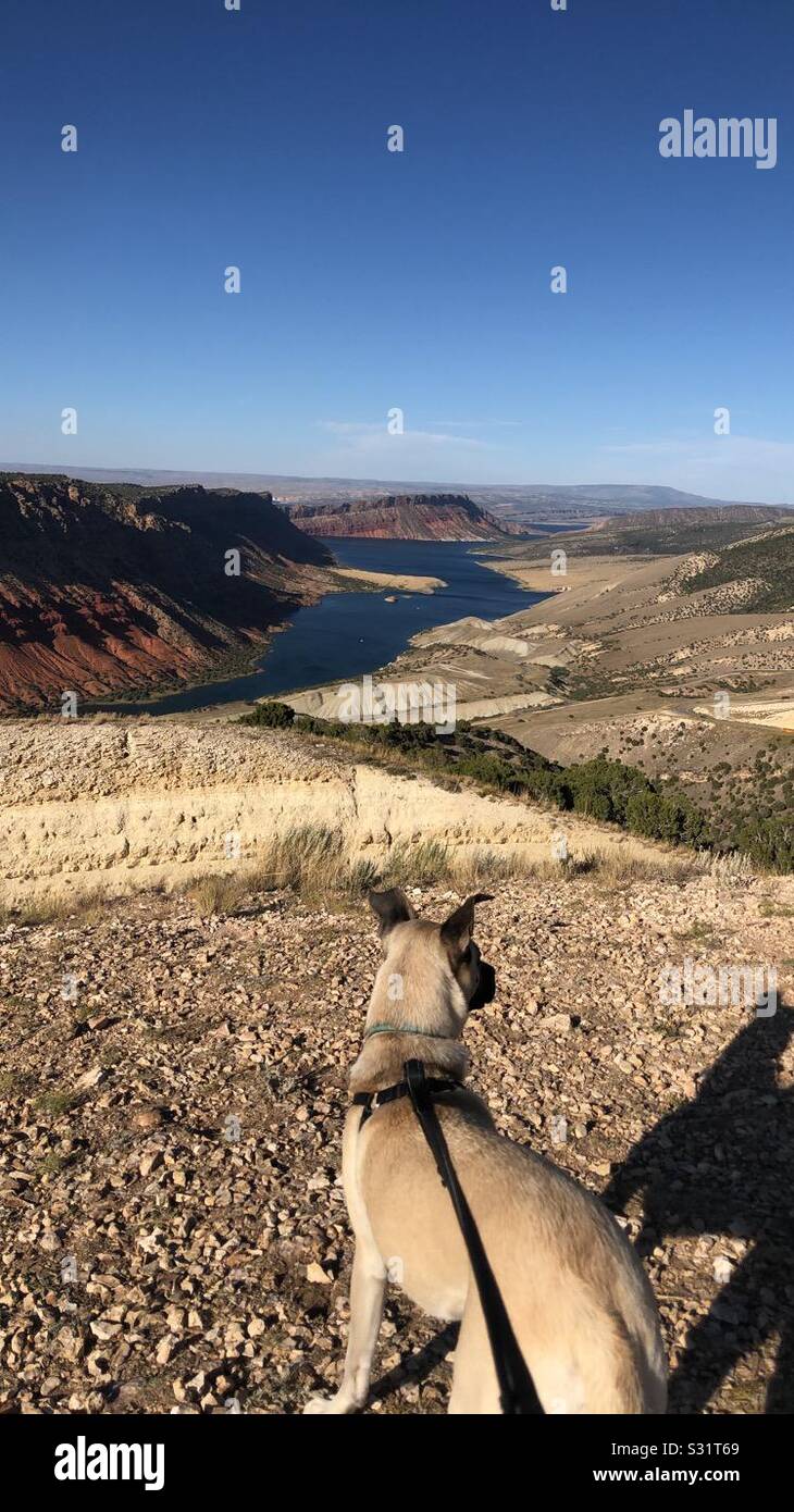 Flaminggorge hi-res stock photography and images - Alamy