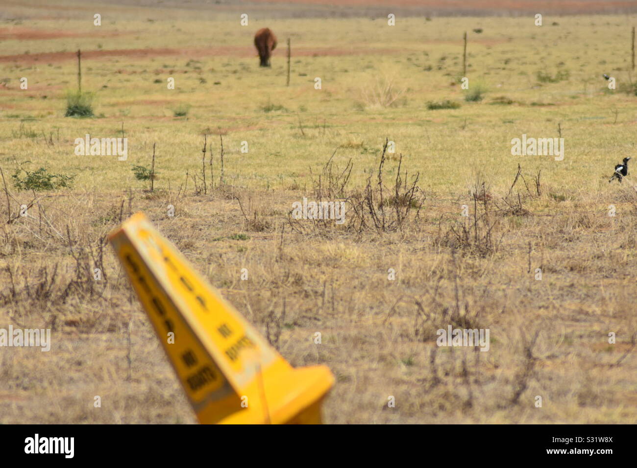 The effects of drought Stock Photo - Alamy