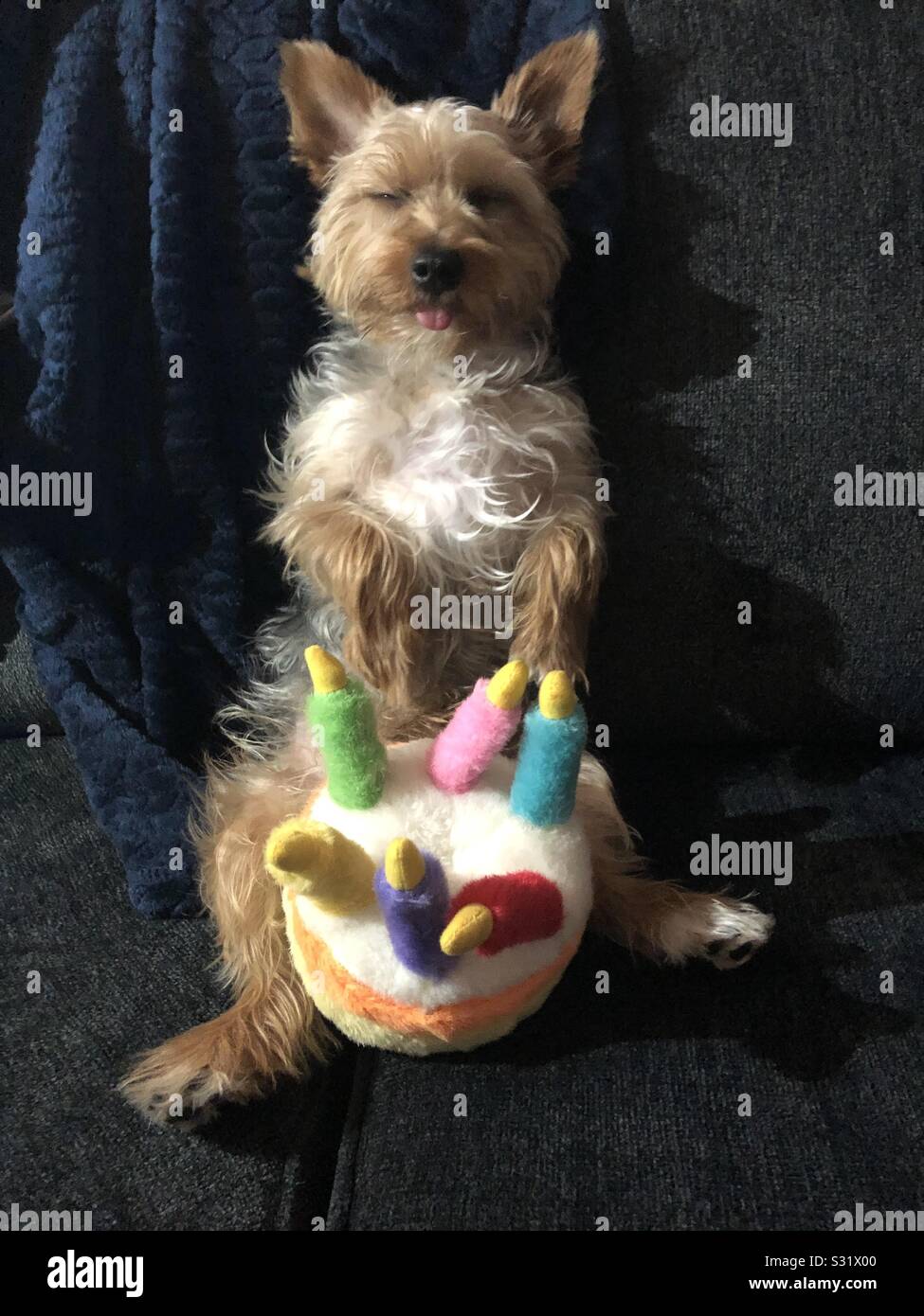 Food Coma High Resolution Stock Photography and Images - Alamy