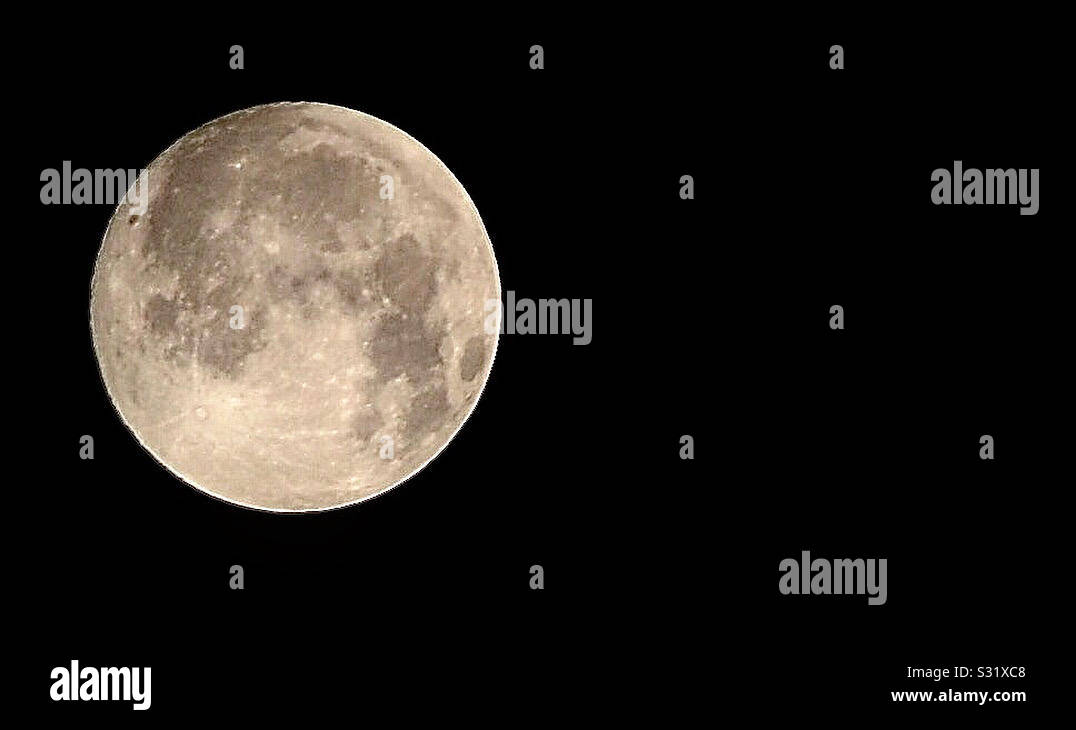 Full wolf moon hi-res stock photography and images - Alamy