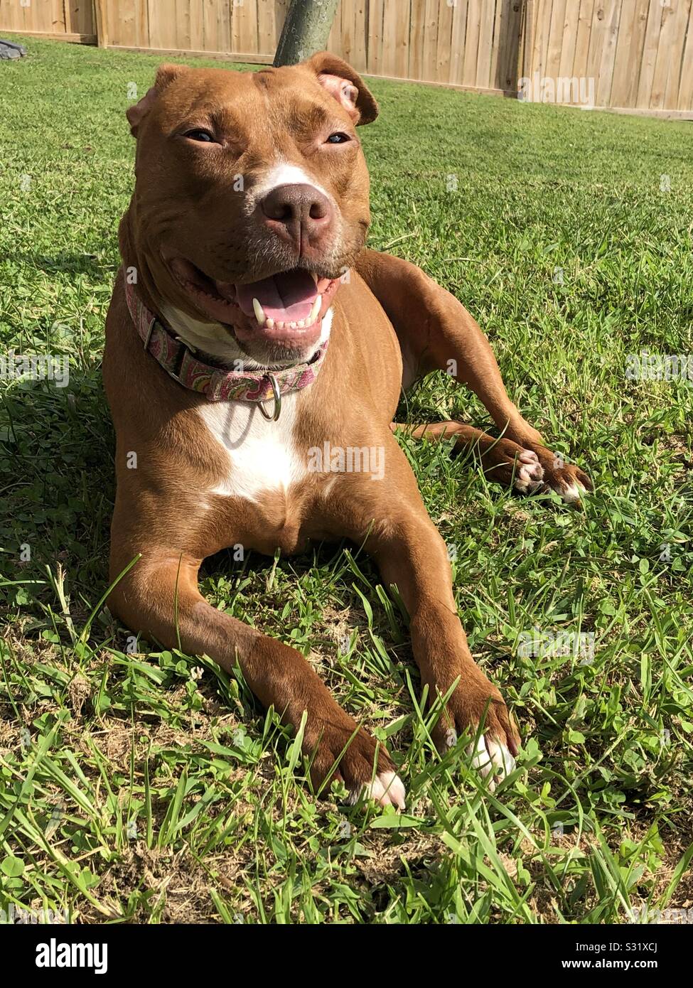 Sun daze hi-res stock photography and images - Alamy