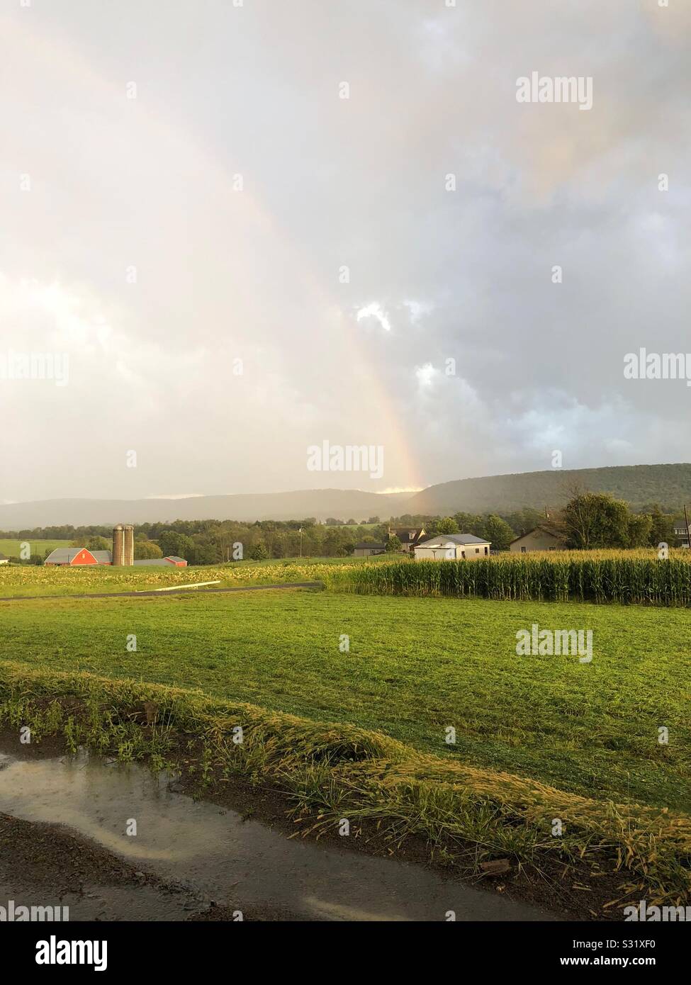 Aftermath of rain hi-res stock photography and images - Alamy
