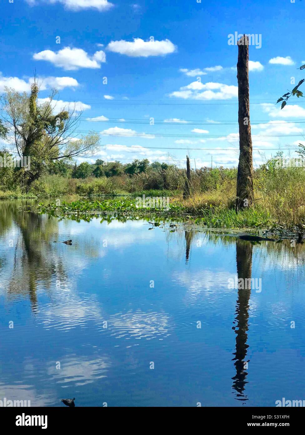 Jersey marshlands hi-res stock photography and images - Alamy