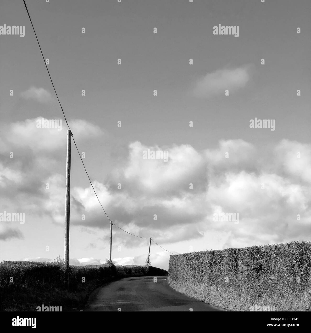 Road with poles Black and White Stock Photos & Images - Alamy