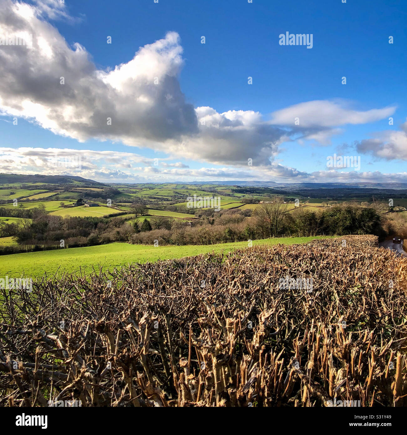 Rolling hedge hi-res stock photography and images - Alamy