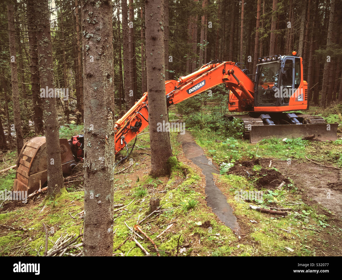 Excavator forest hi-res stock photography and images - Alamy