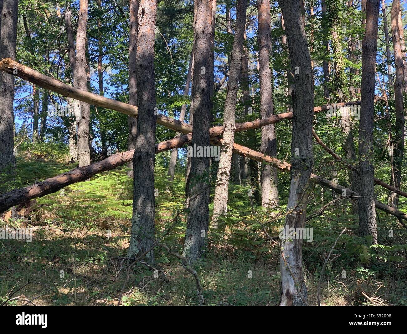 X shape hi-res stock photography and images - Alamy