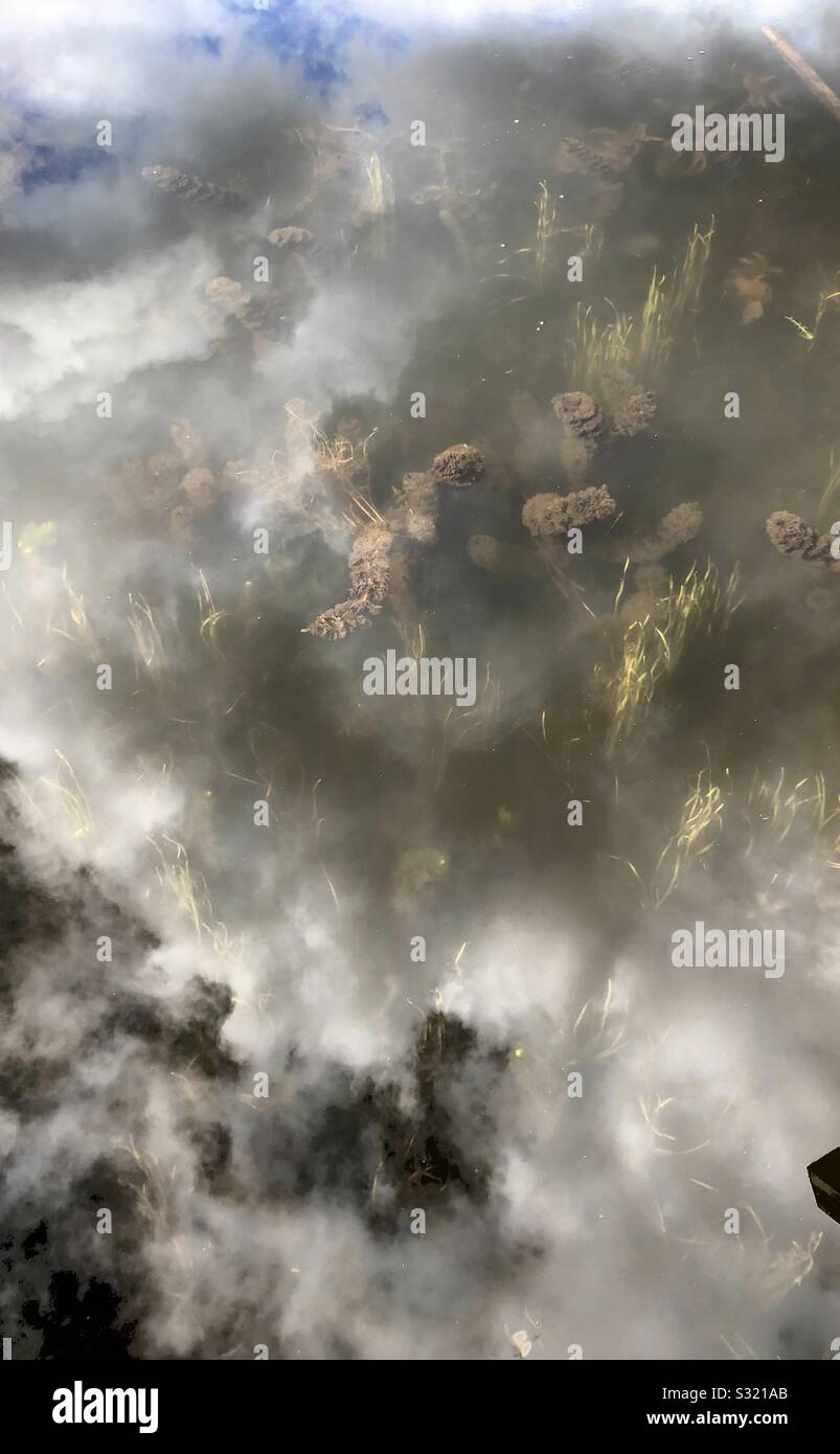 Smoke on the water hi-res stock photography and images - Alamy