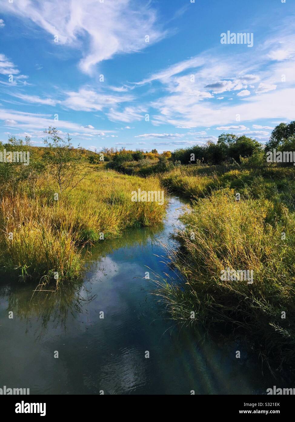A walk in fall Stock Photo - Alamy