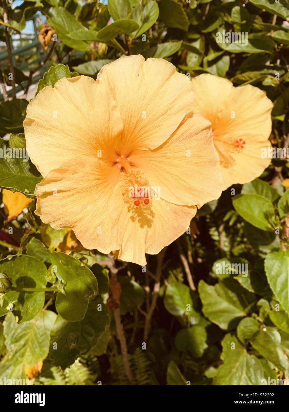 Dominican republic nature hi-res stock photography and images - Alamy