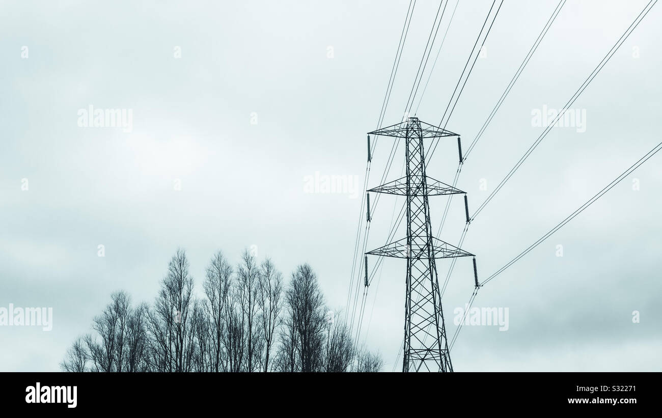 Winter trees next to power lines and pylon Stock Photo - Alamy