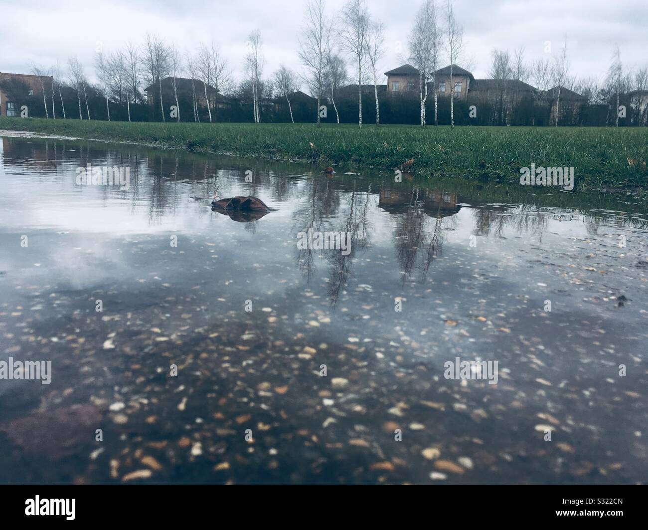 Puddle flood hi-res stock photography and images - Alamy