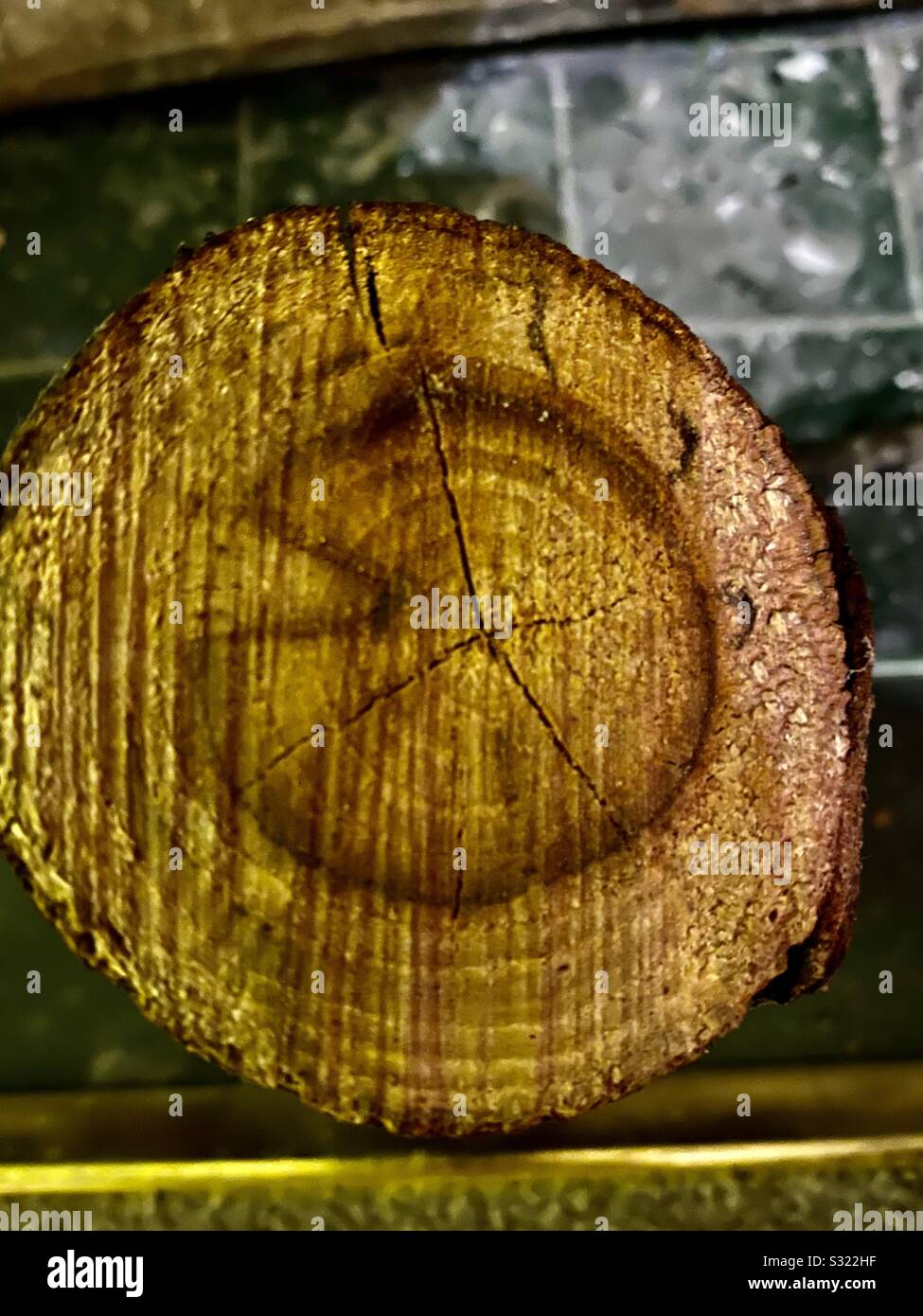 Beauty wood hi-res stock photography and images - Alamy