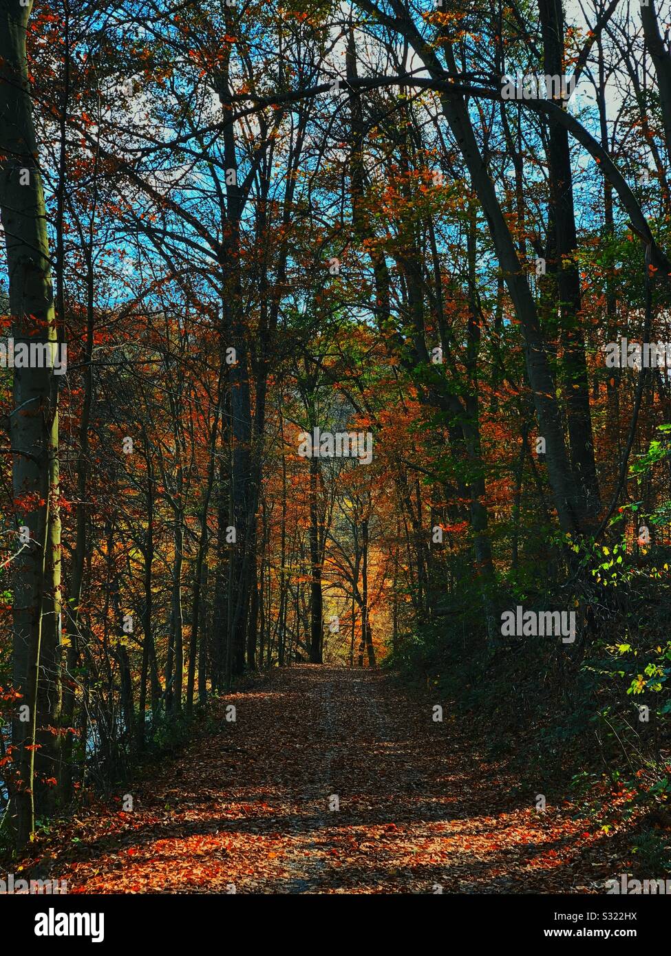 Traveled path hi-res stock photography and images - Alamy