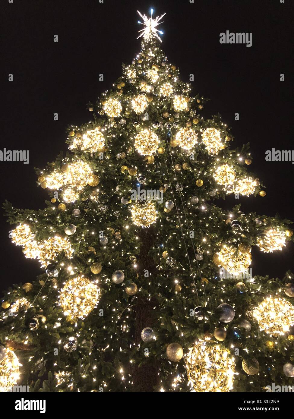 Sparkling tree hi-res stock photography and images - Alamy