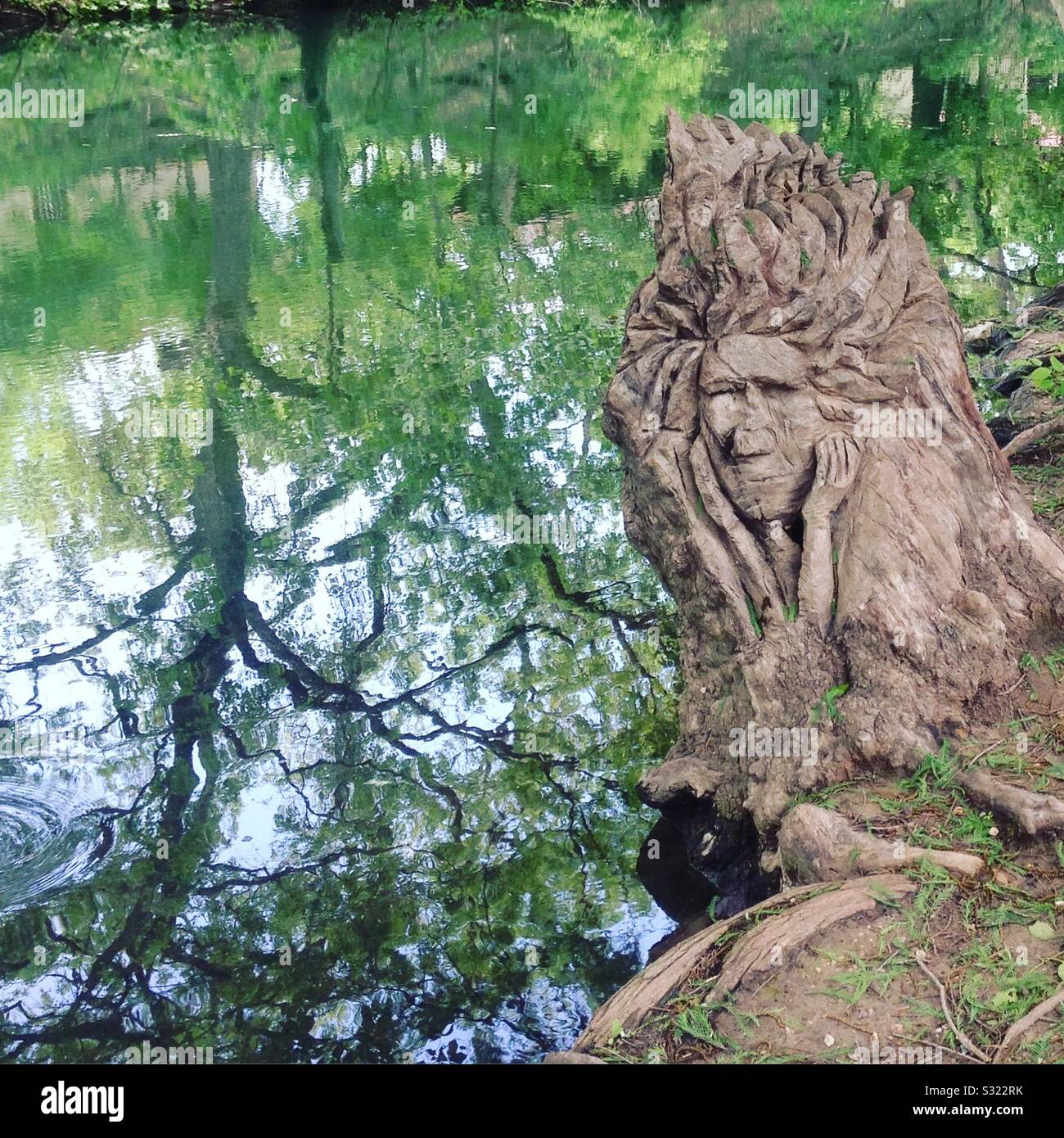 Thinking tree hi-res stock photography and images - Alamy