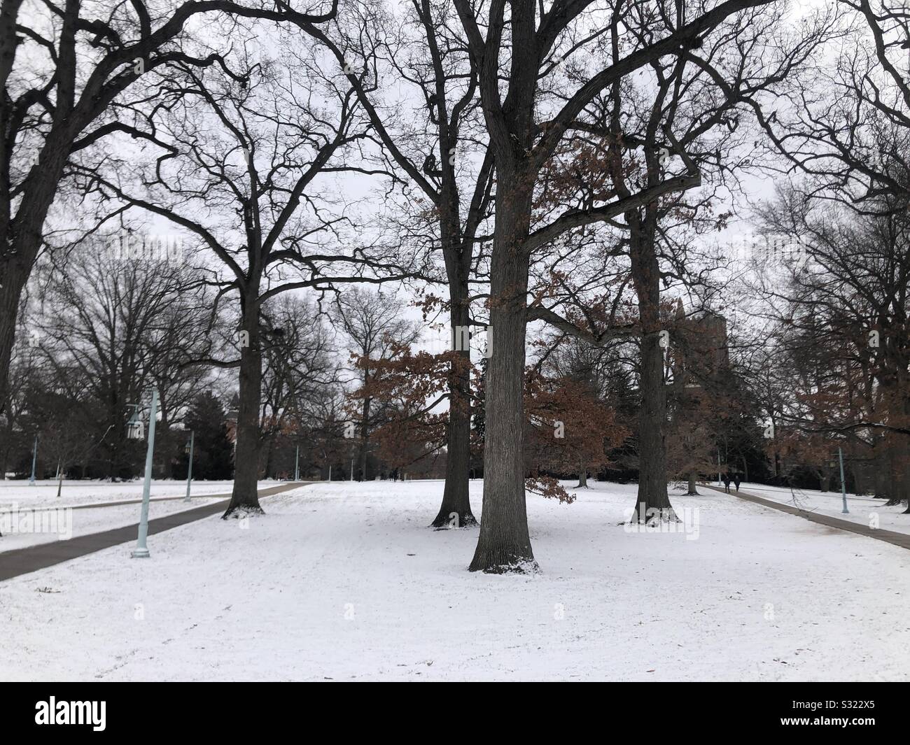 Michigan state university campus hi-res stock photography and images ...