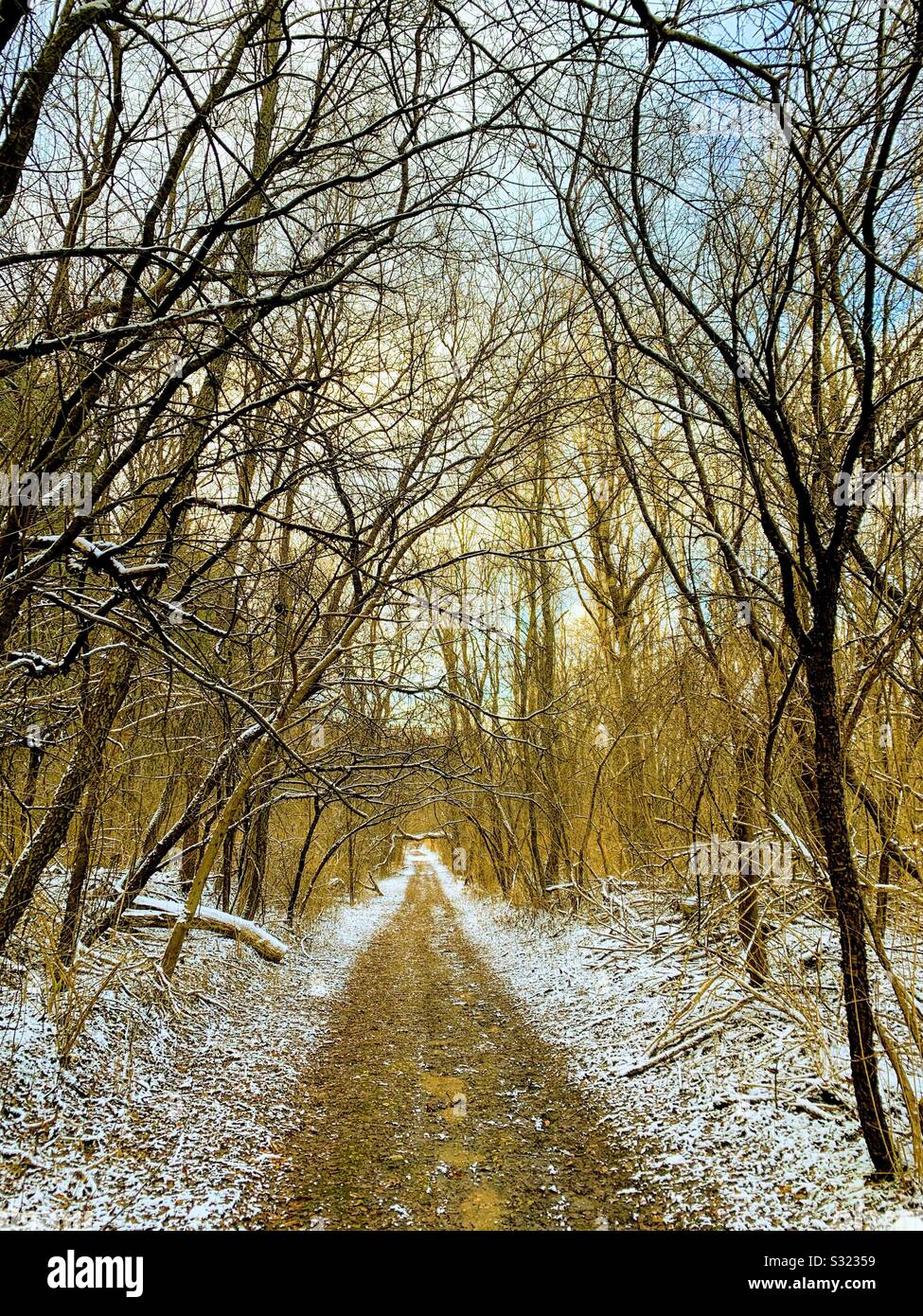 Path with frost hi-res stock photography and images - Alamy