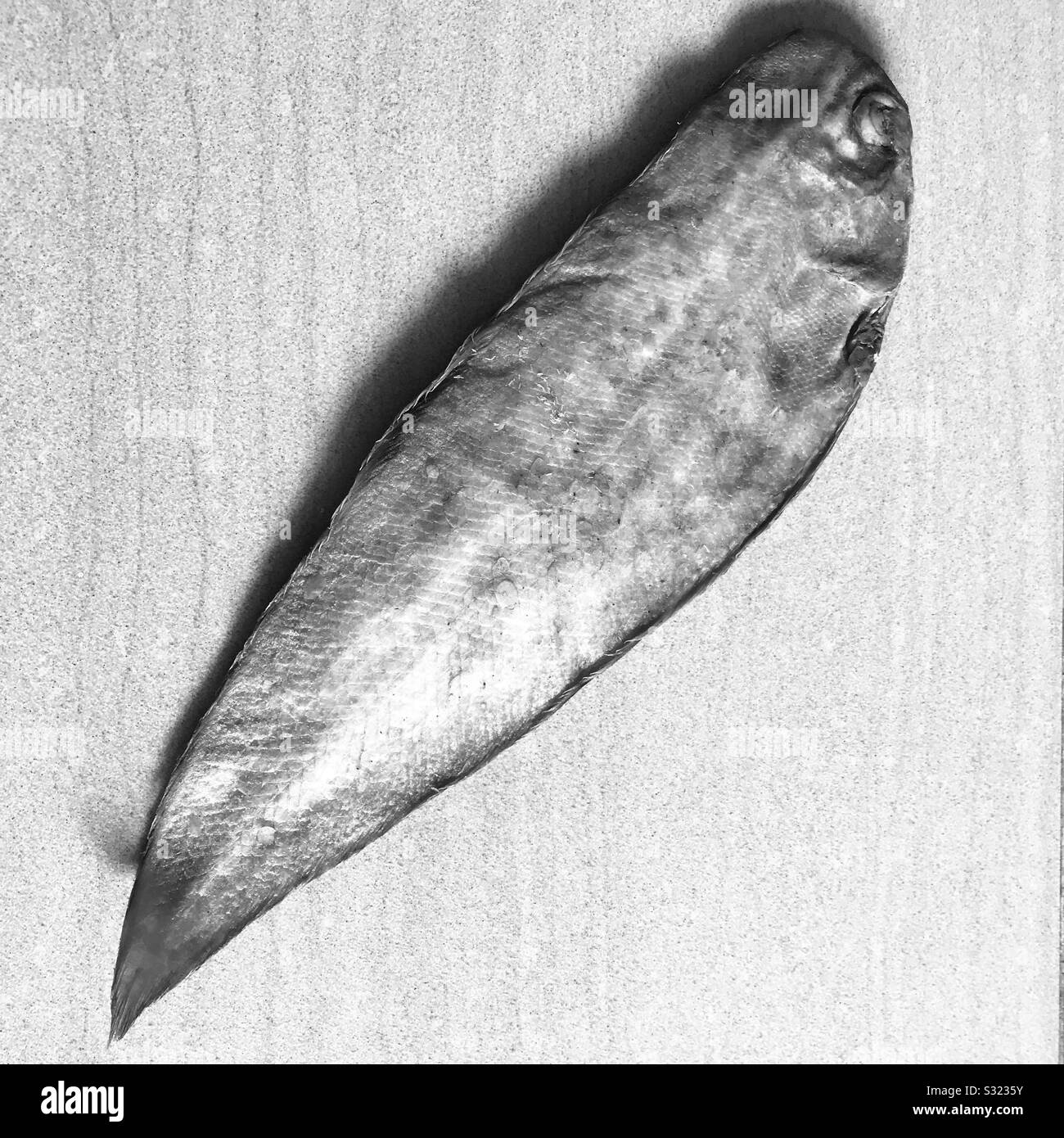 image of Dried tongue sole fish skin top and bottom skin aka Manthal ...