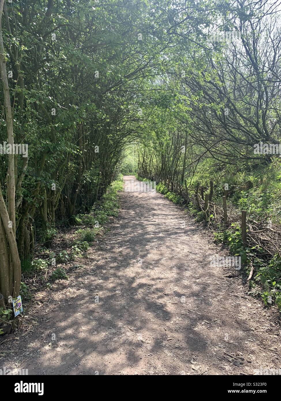 Enchanted walkway hi-res stock photography and images - Alamy
