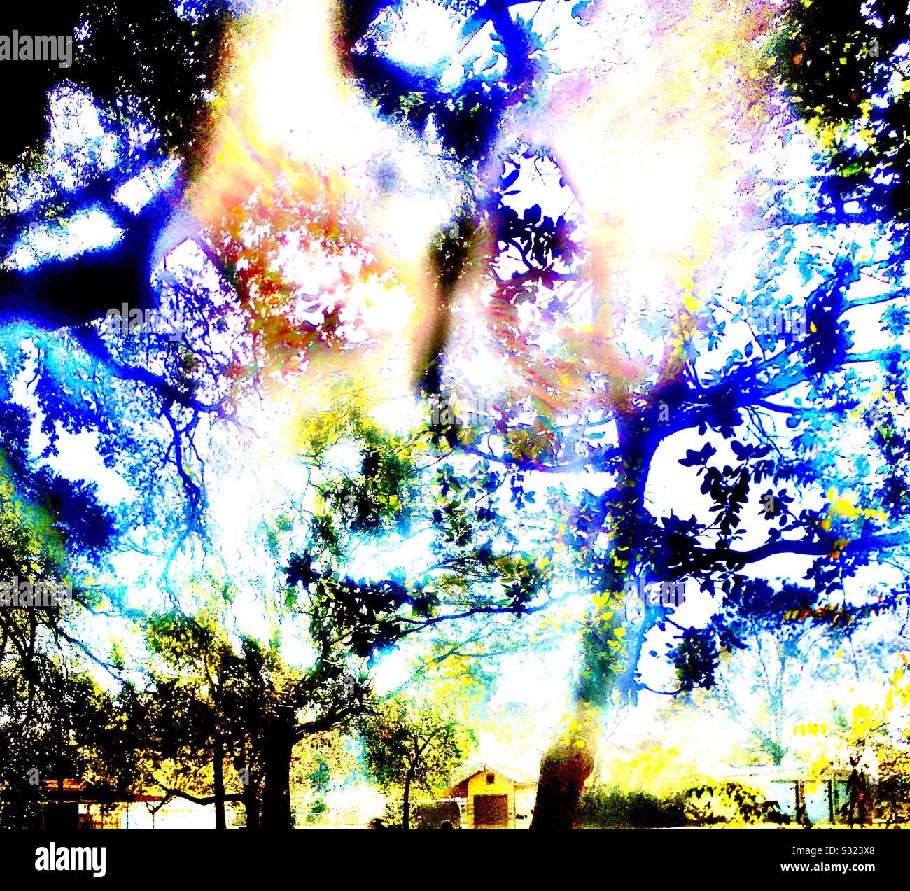 Multiple ways hi-res stock photography and images - Alamy