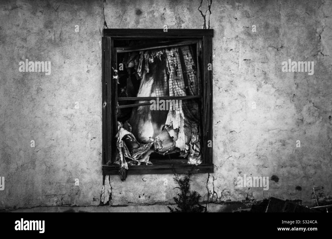 Beautiful Disaster High Resolution Stock Photography and Images - Alamy