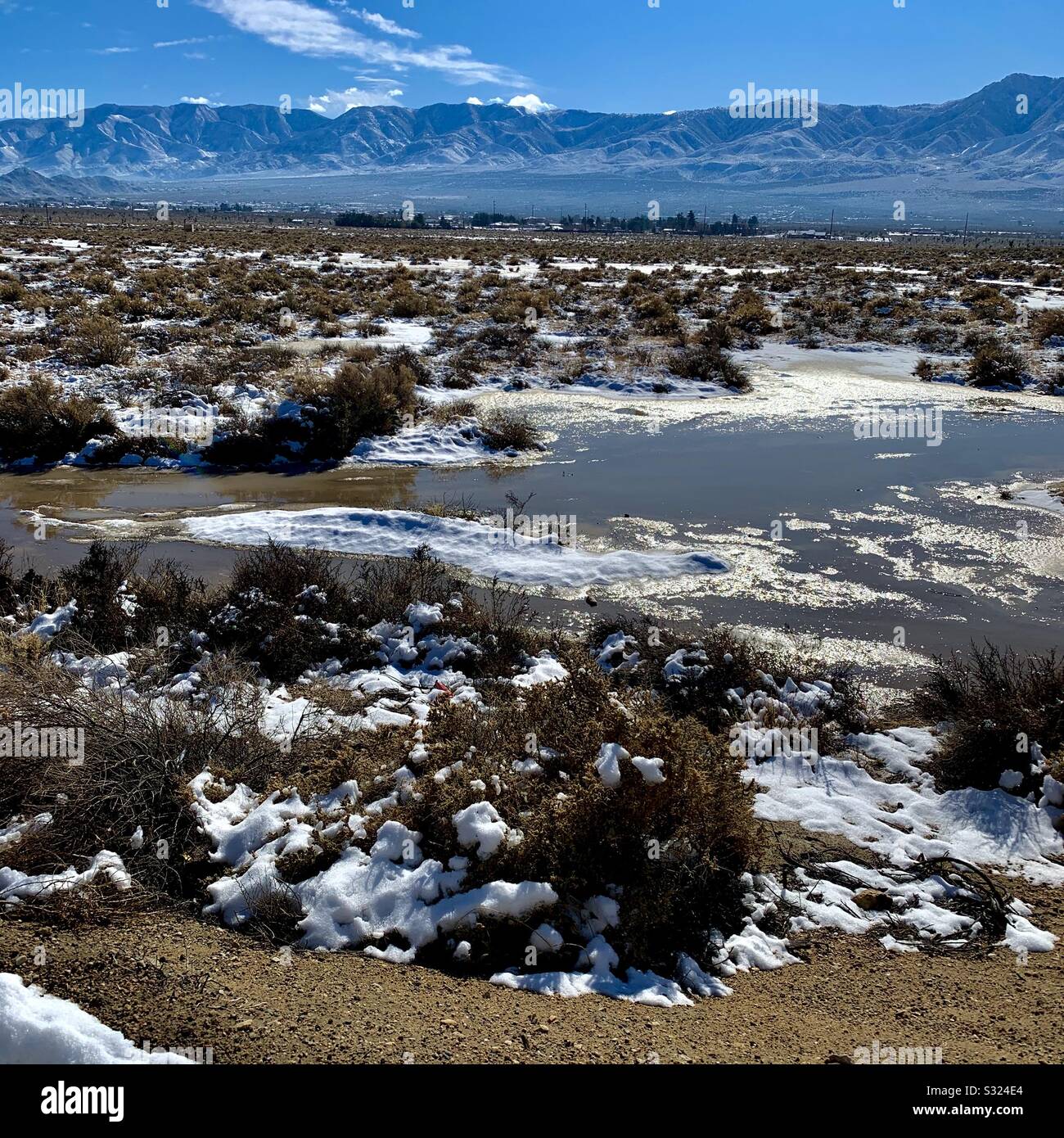 Desert winter hi-res stock photography and images - Alamy