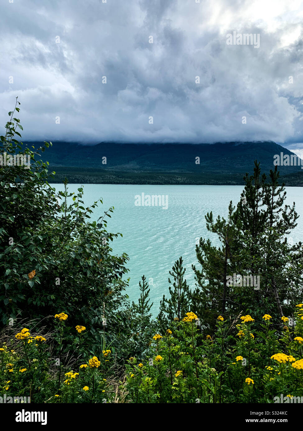 Kalum lake hi-res stock photography and images - Alamy