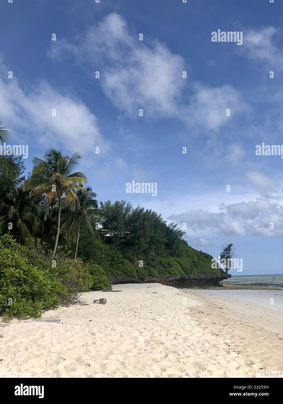 Zanzibar Paradise Beach High Resolution Stock Photography and Images ...