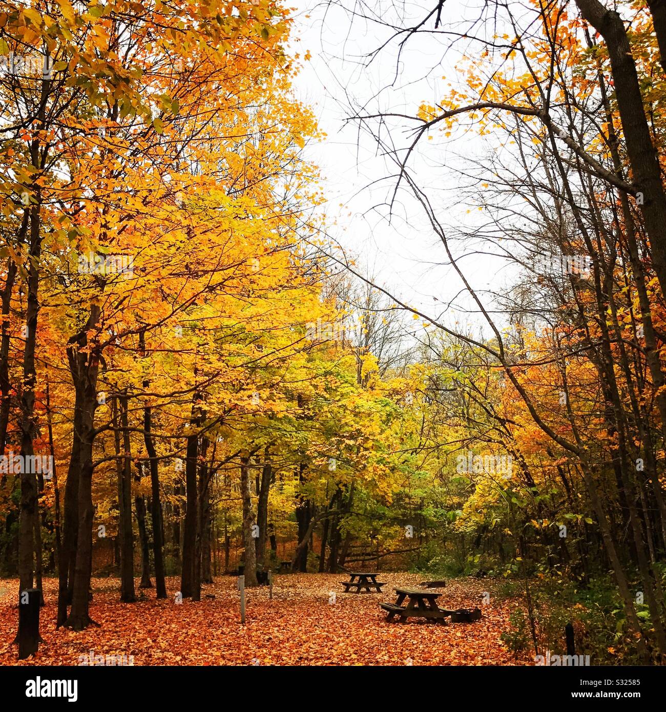 Fall picnic hi-res stock photography and images - Alamy