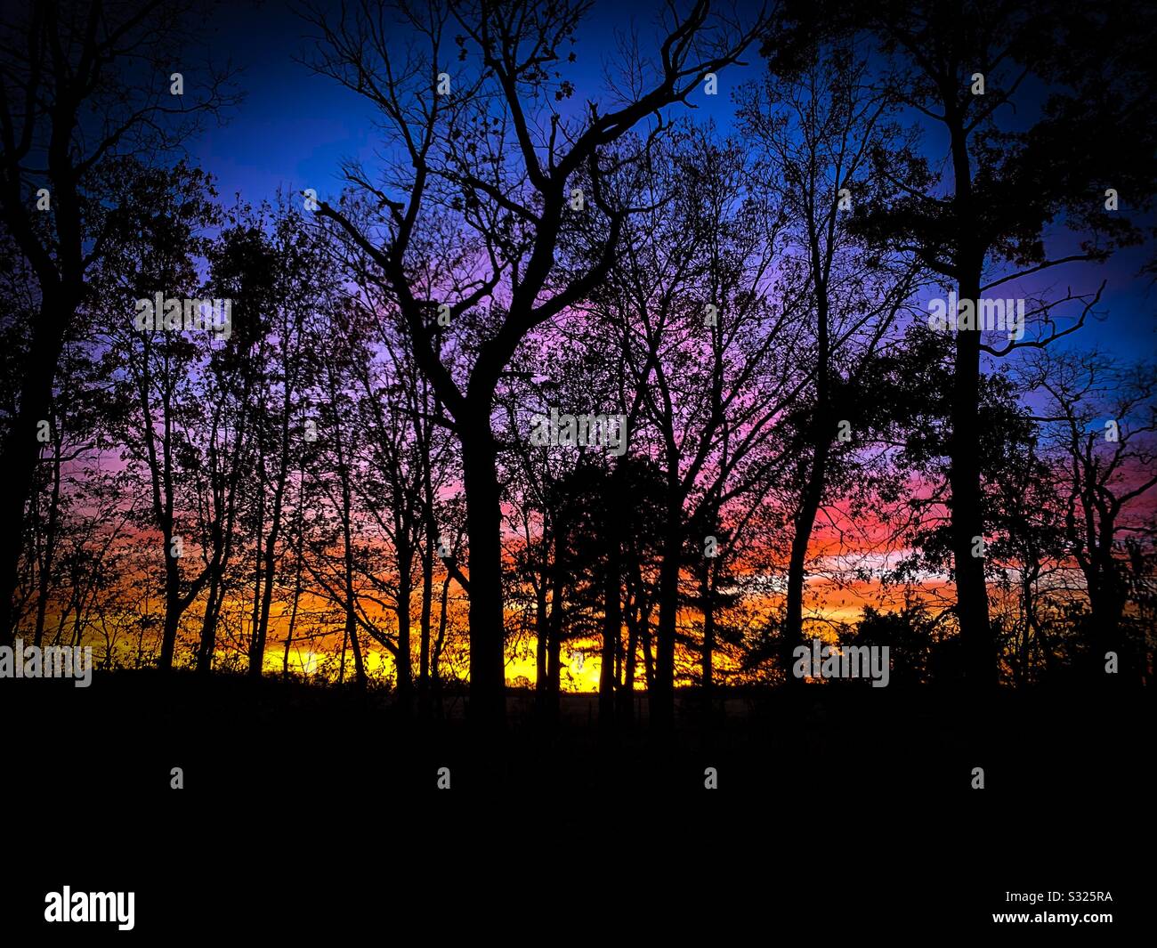 Sunset trees fall hi-res stock photography and images - Alamy