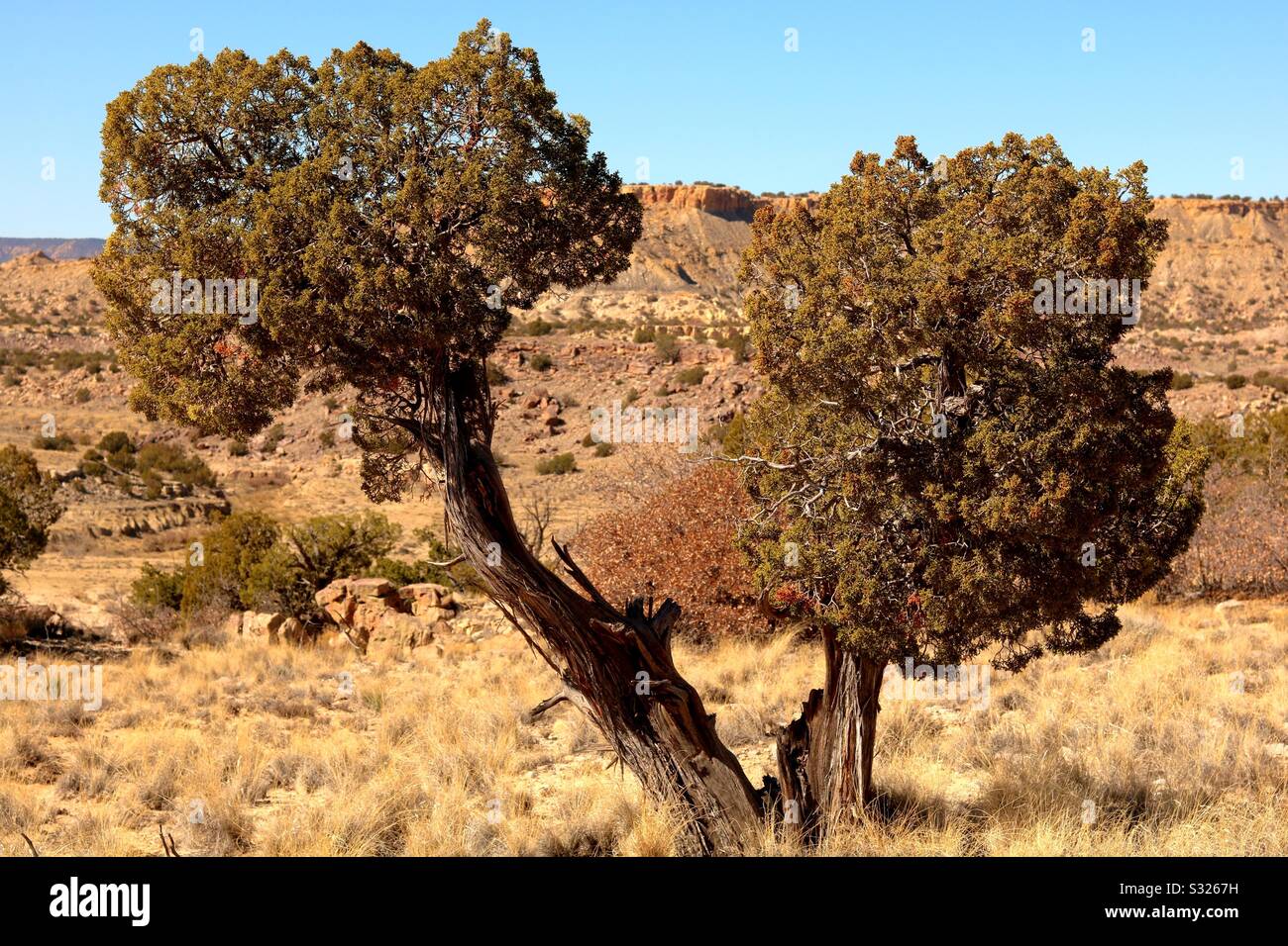 Ojito hi-res stock photography and images - Alamy