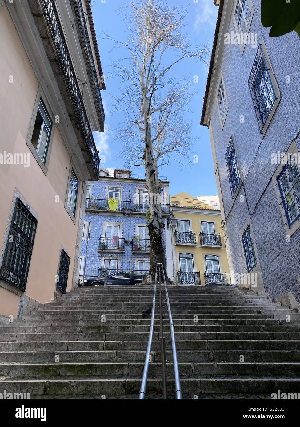 Madragoa hi-res stock photography and images - Alamy