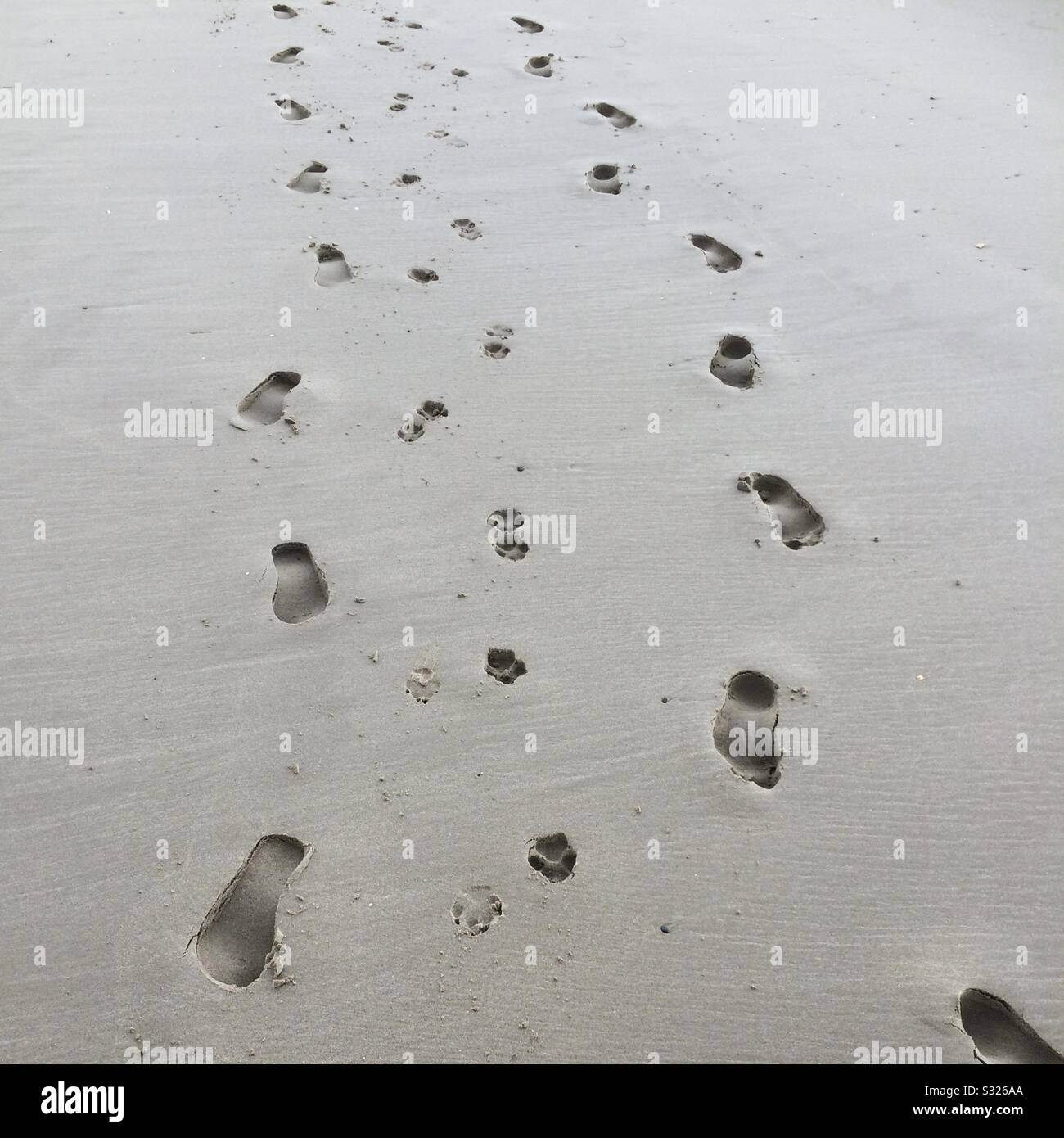 Three footsteps hi-res stock photography and images - Alamy