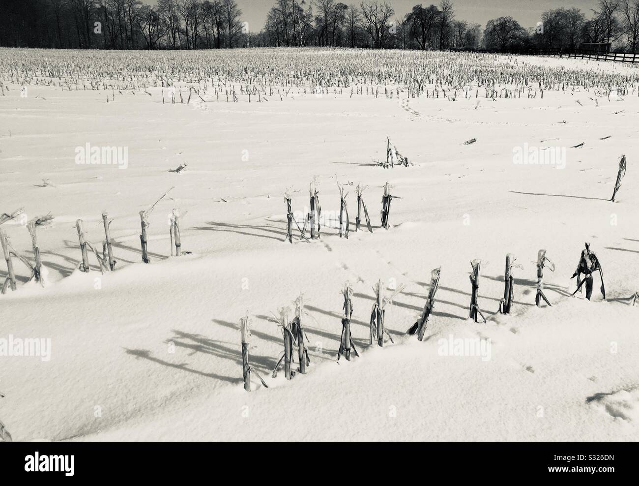 Fields frost hi-res stock photography and images - Alamy