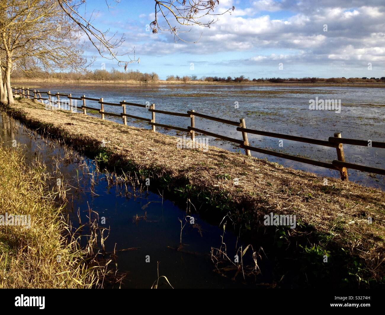 Natural Park Wetlands and path Stock Photo - Alamy