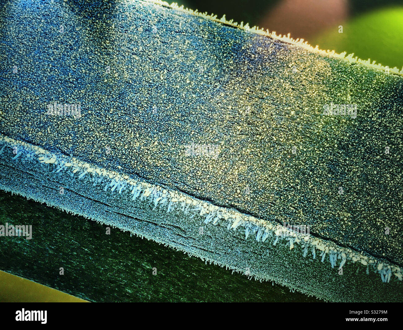 Cold winter morning walk hi-res stock photography and images - Alamy