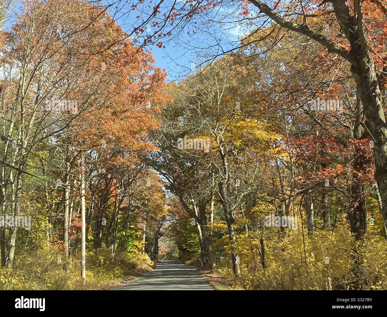 Gorgeous fall foliage hi-res stock photography and images - Alamy